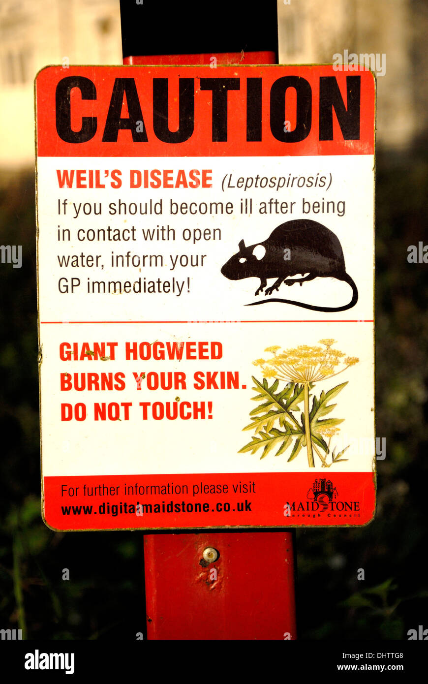 Weils disease hi-res stock photography and images - Alamy