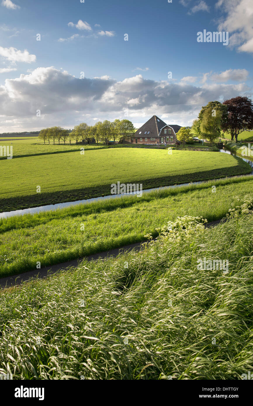 Netherlands, Middenbeemster, Typical farm in Beemster polder, a UNESCO ...