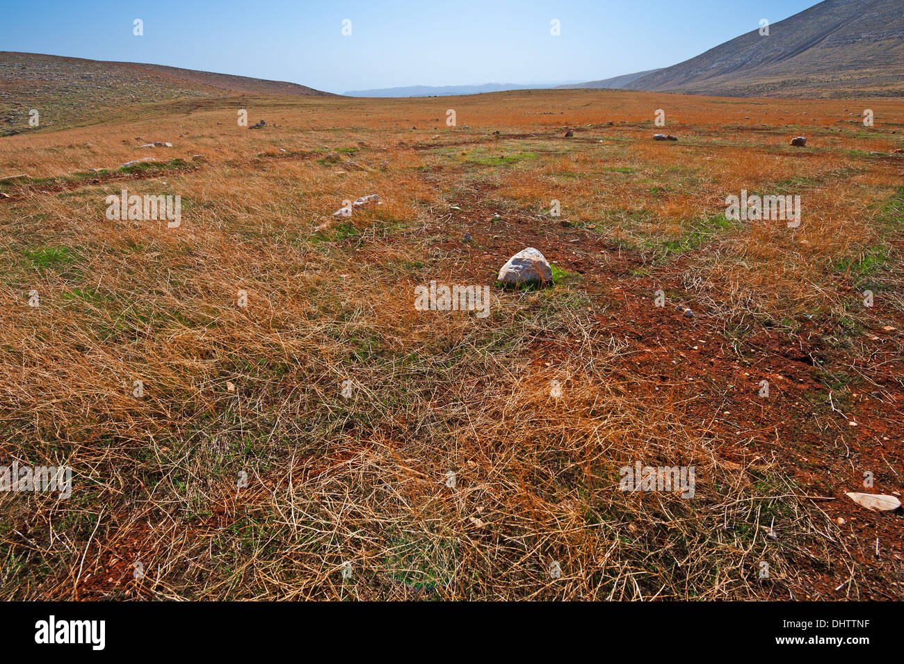 Infinity plant hi-res stock photography and images - Alamy