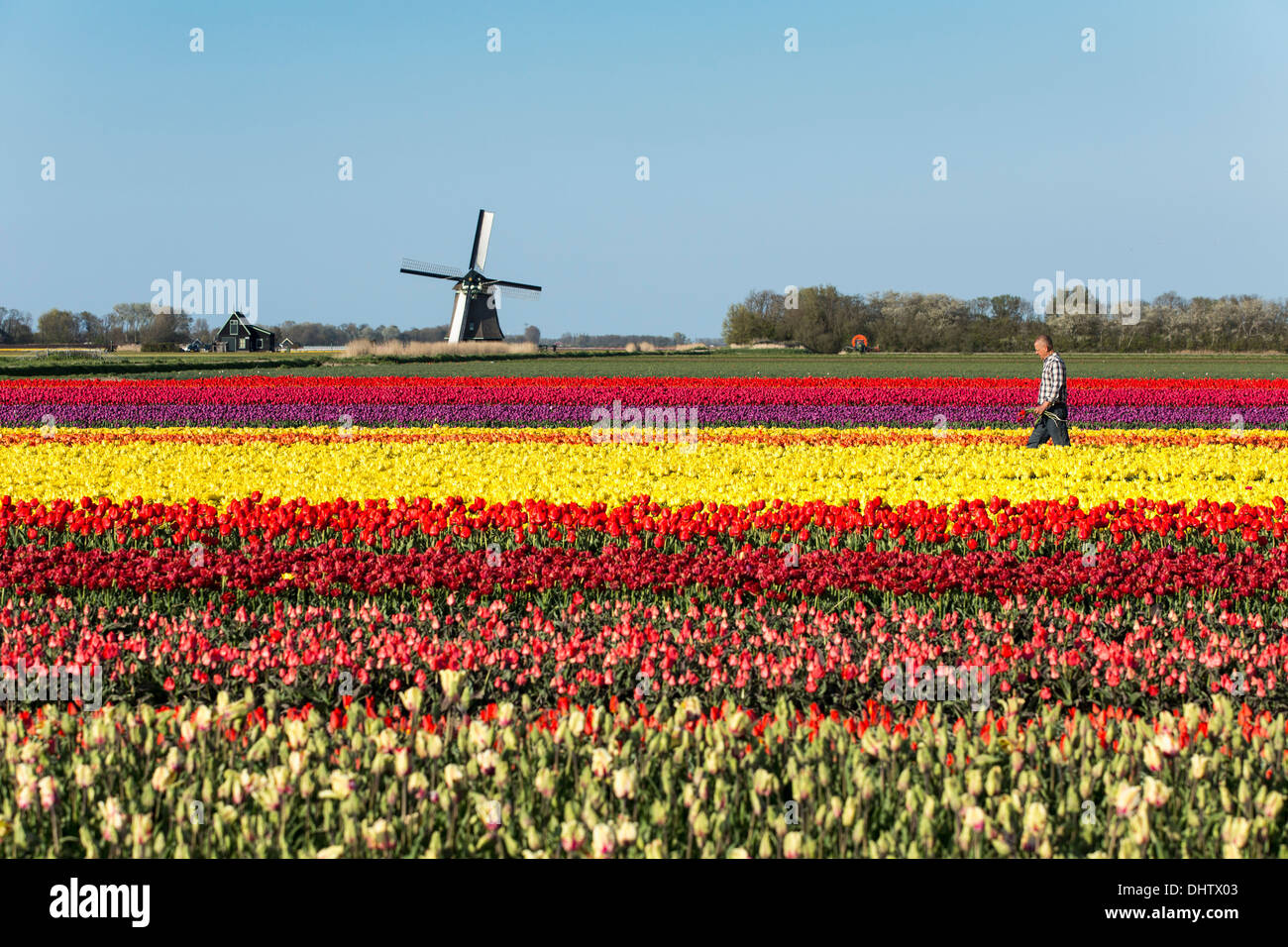 Farmer walking his fields hi-res stock photography and images - Alamy