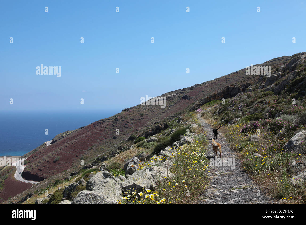 Oceanfront path hi-res stock photography and images - Alamy