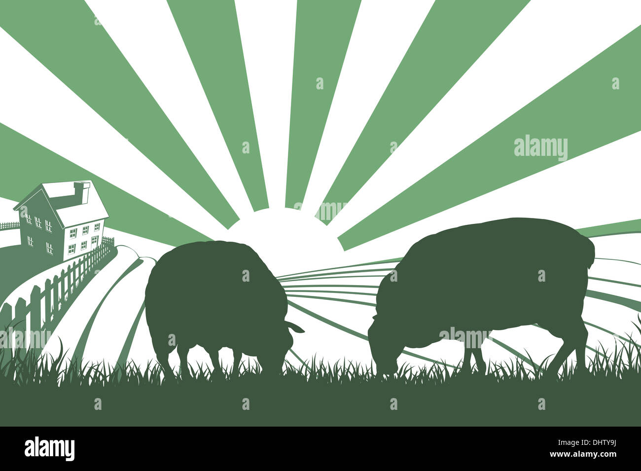 An idyllic farm landscape with farmhouse and sheep feeding on grass and ...