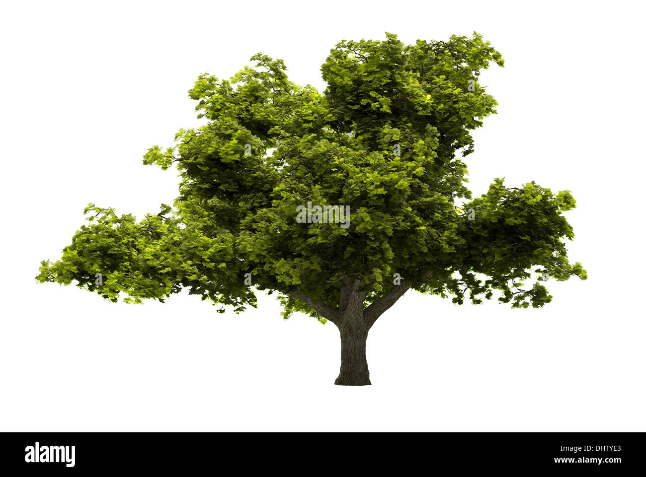 Isolated environment hi-res stock photography and images - Alamy