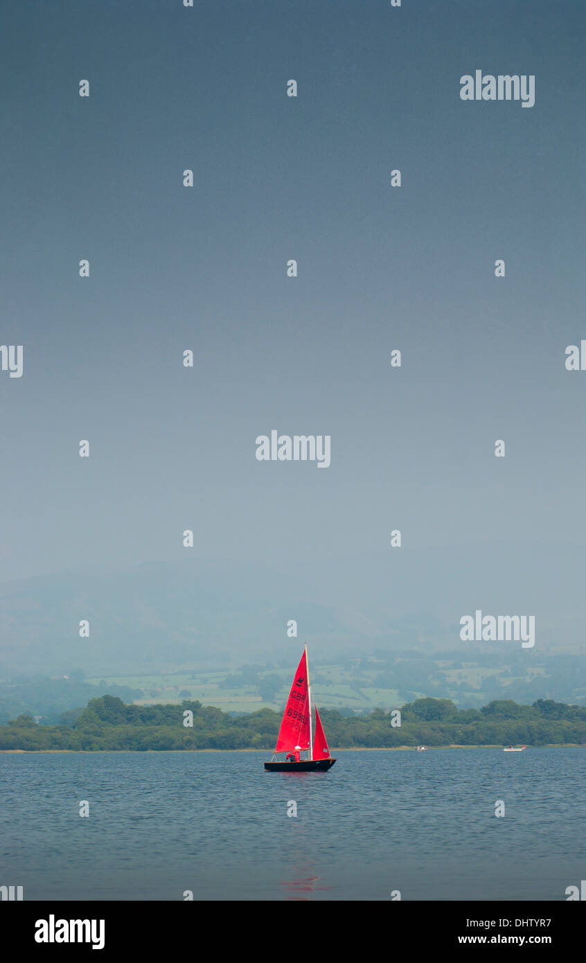 Mirror sailing dinghy named after the UK newspaper named the Daily ...