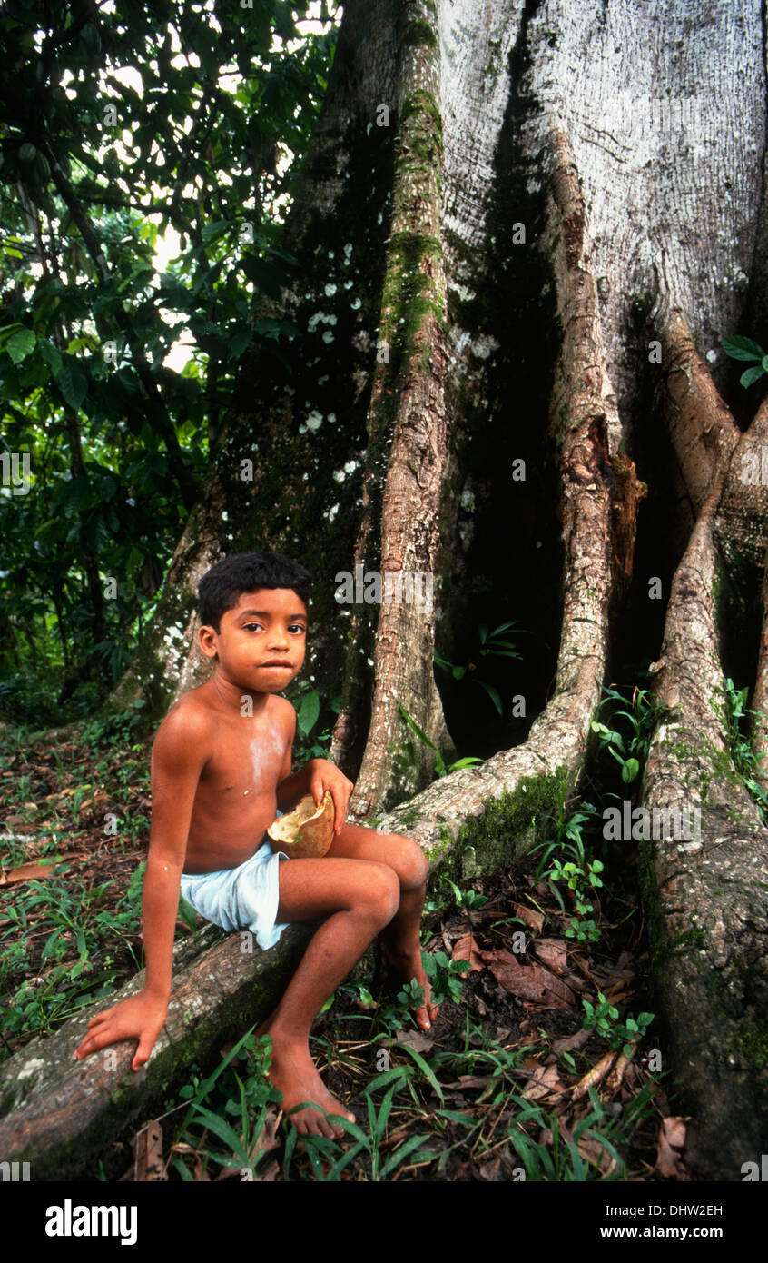 child, amazon rainforest, belem, state of para, amazon region, brazil ...