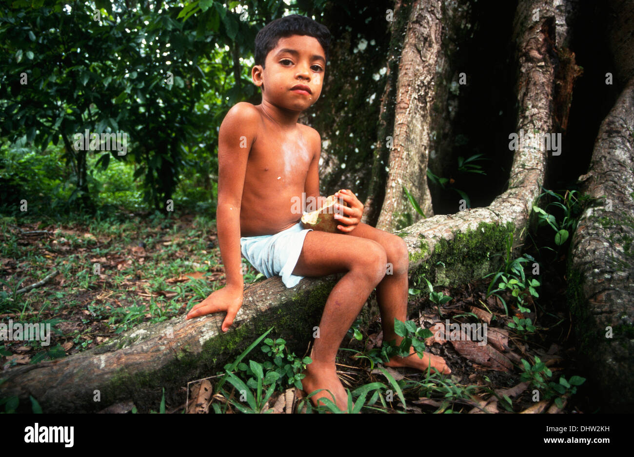 child, amazon rainforest, belem, state of para, amazon region, brazil ...
