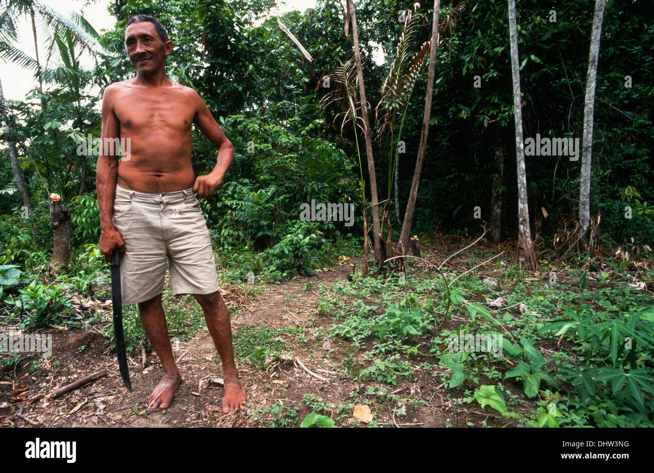 man, amazon rainforest, belem, state of para, amazon region, brazil ...