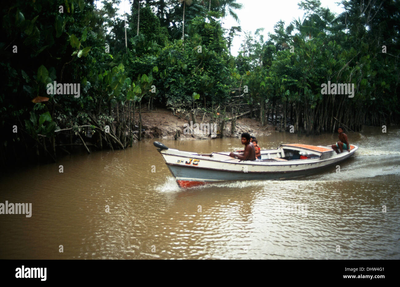delta of amazonas river, belem, state of para, amazon region, brazil ...