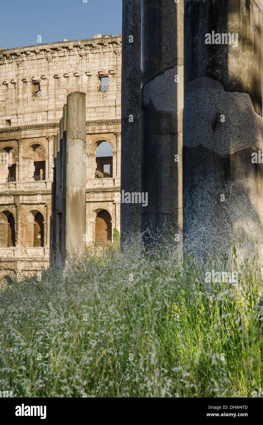 Colosseum column detail hi-res stock photography and images - Alamy
