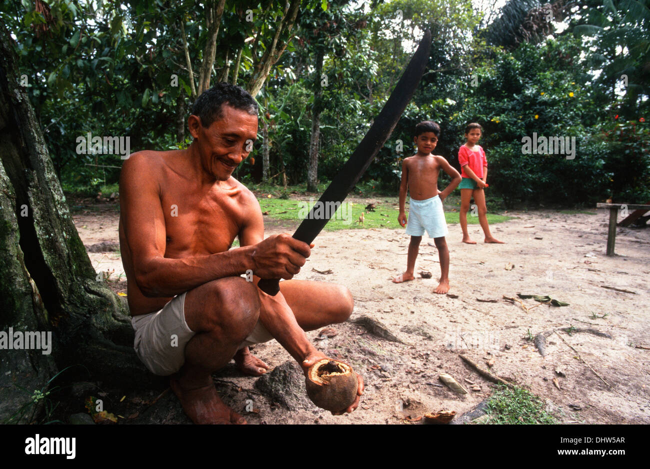 man, amazon rainforest, belem, state of para, amazon region, brazil ...