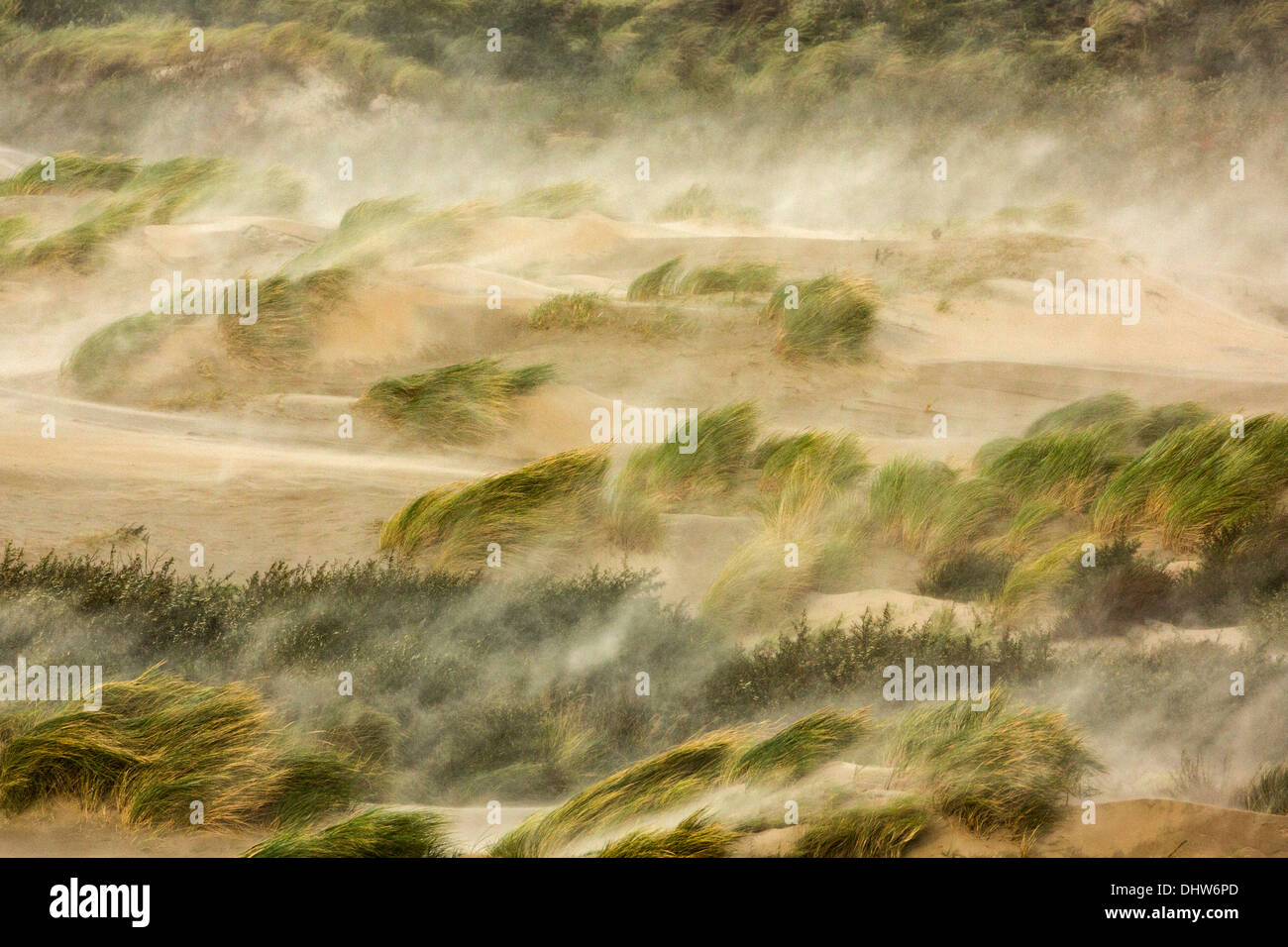 Blowing sand hi-res stock photography and images - Alamy