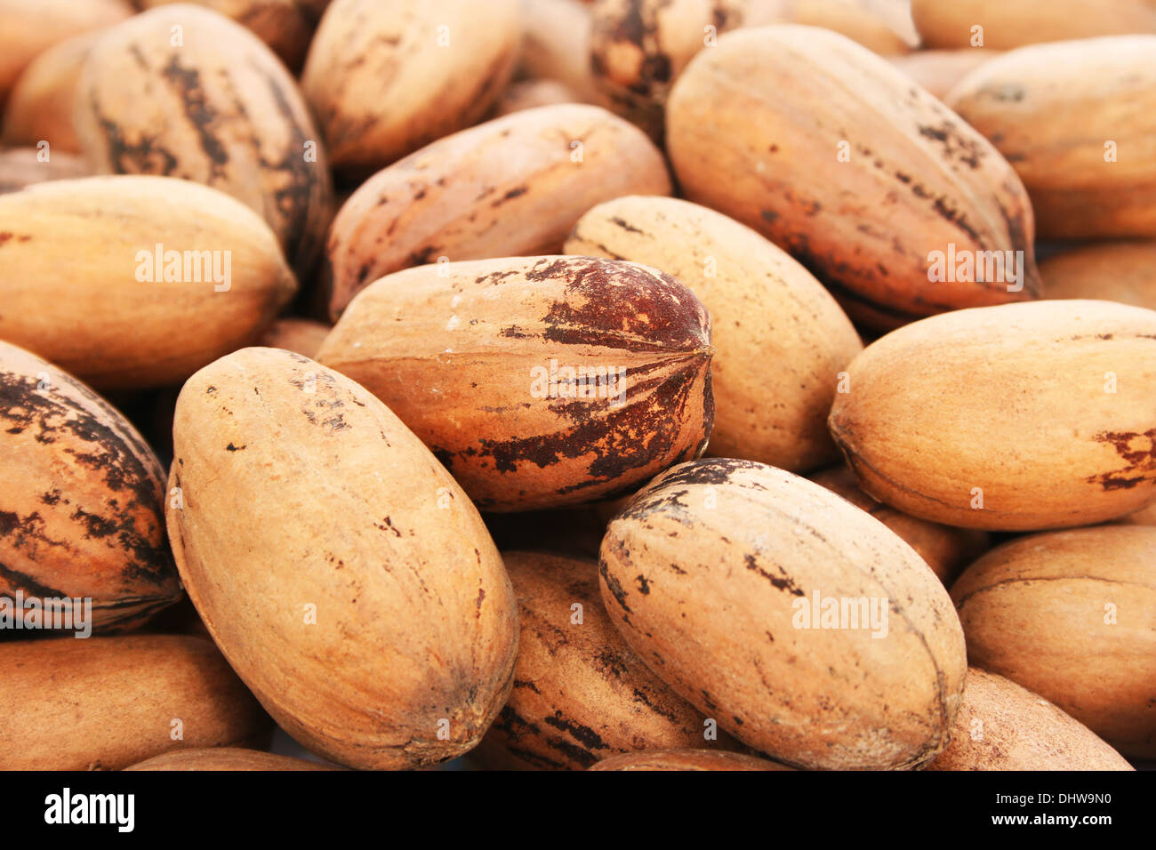 Pecan nuts closeup picture Stock Photo - Alamy