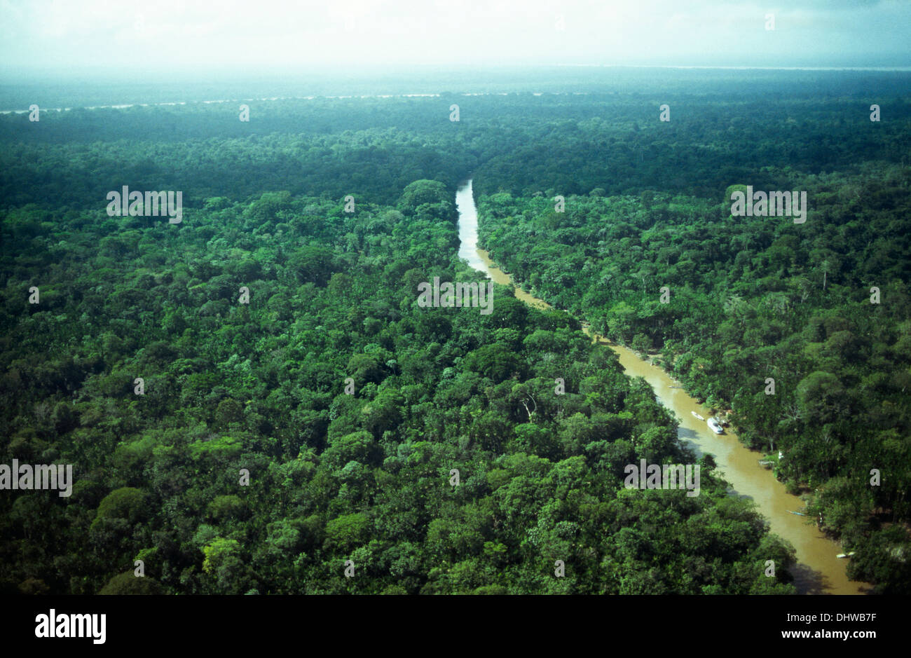 delta of amazonas river and rainforest, belem, state of para, amazon ...