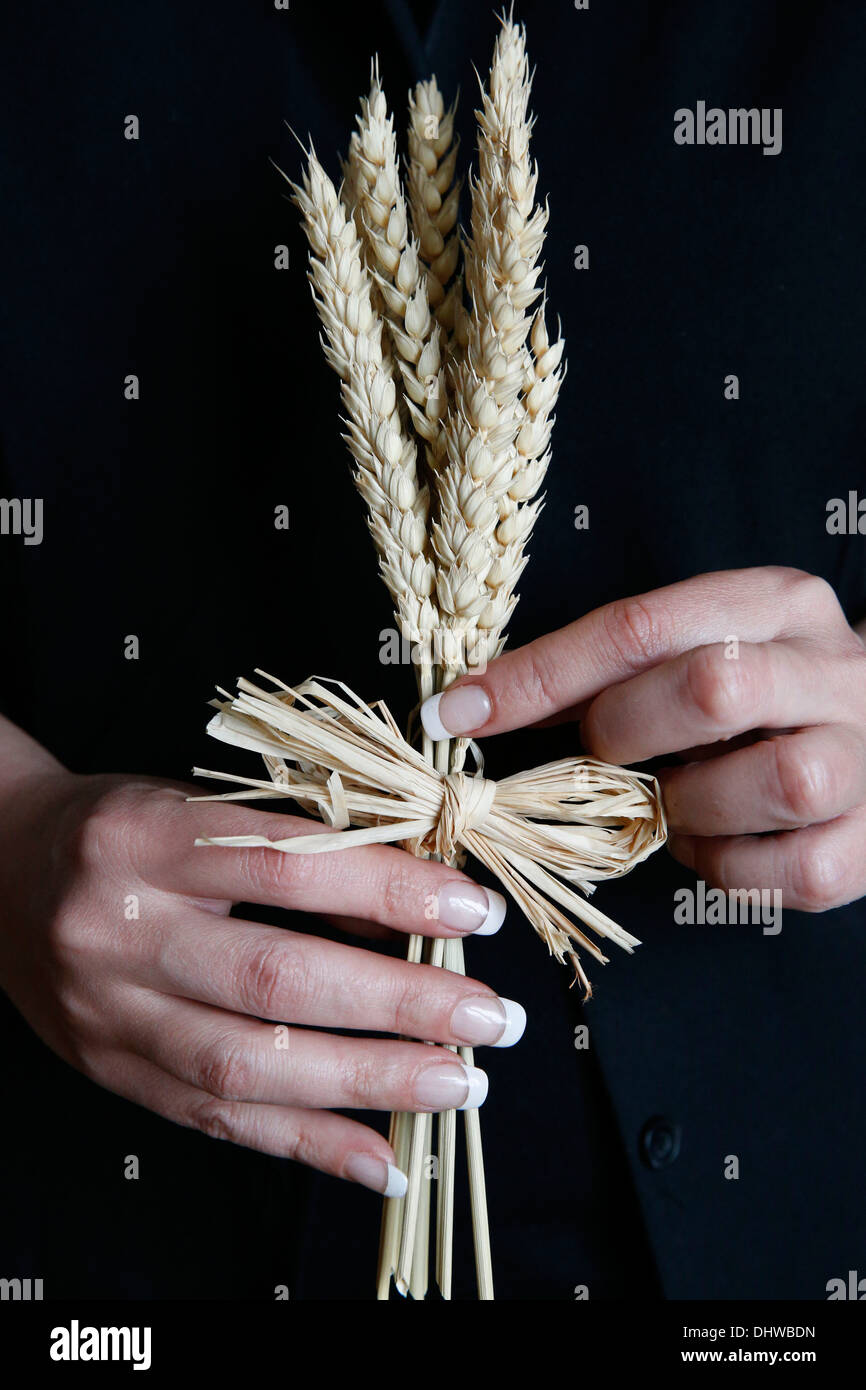 Hands wheat hi-res stock photography and images - Alamy