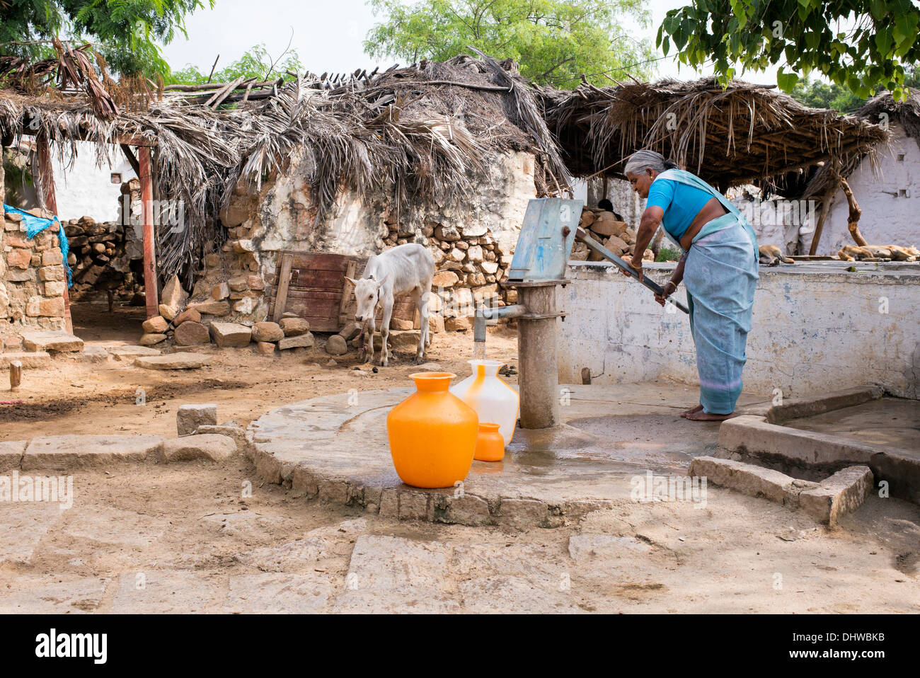 Elderly Indian woman pumping water from a hand pump into a pot in a ...