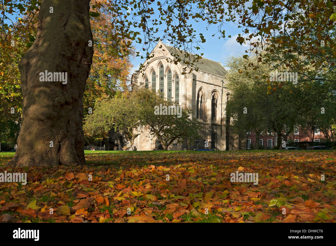 Minster Library in autumn Dean's Park York North Yorkshire England UK ...