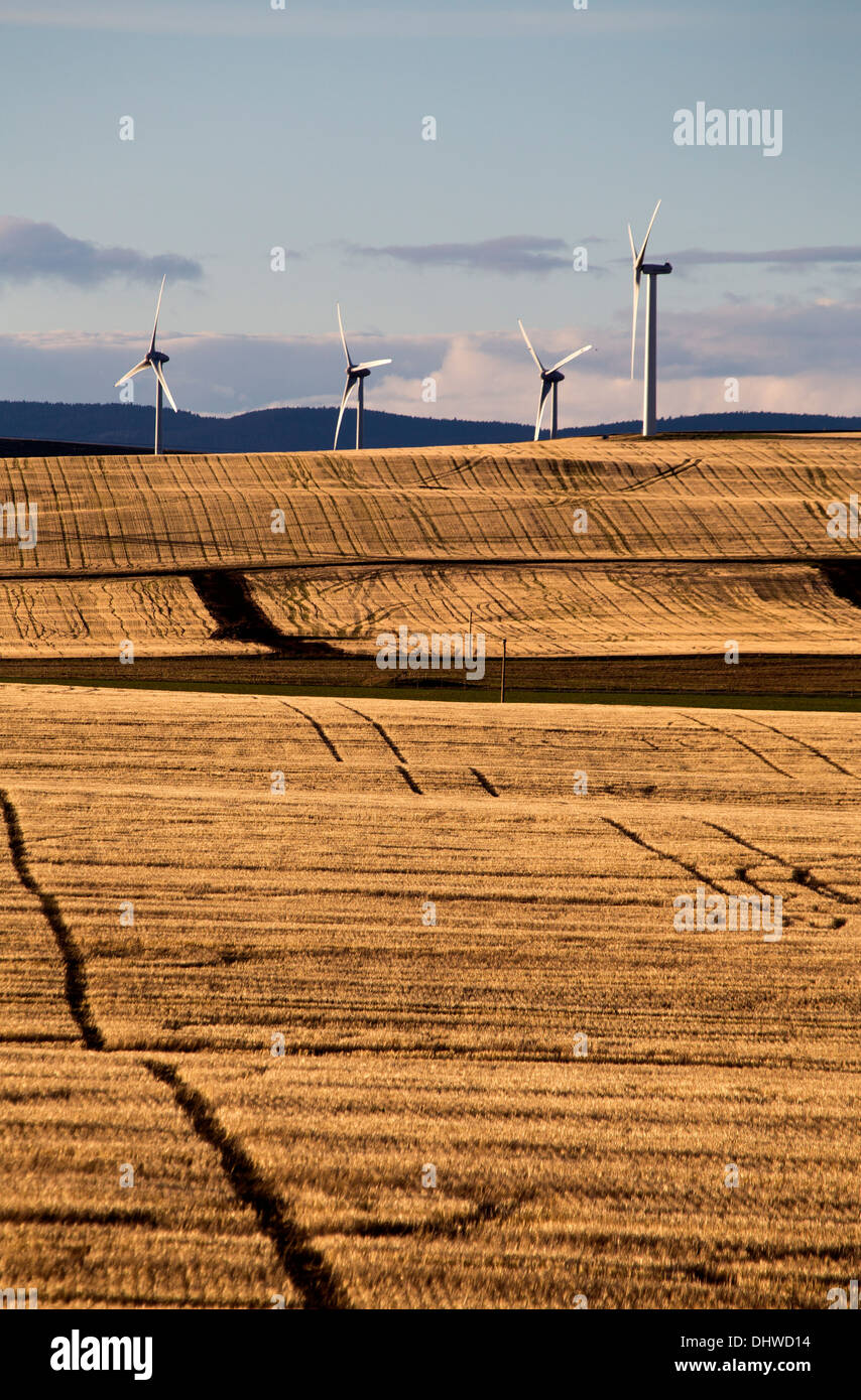Wind Farm Canada Pincher Creek Rocky Mountains Stock Photo - Alamy
