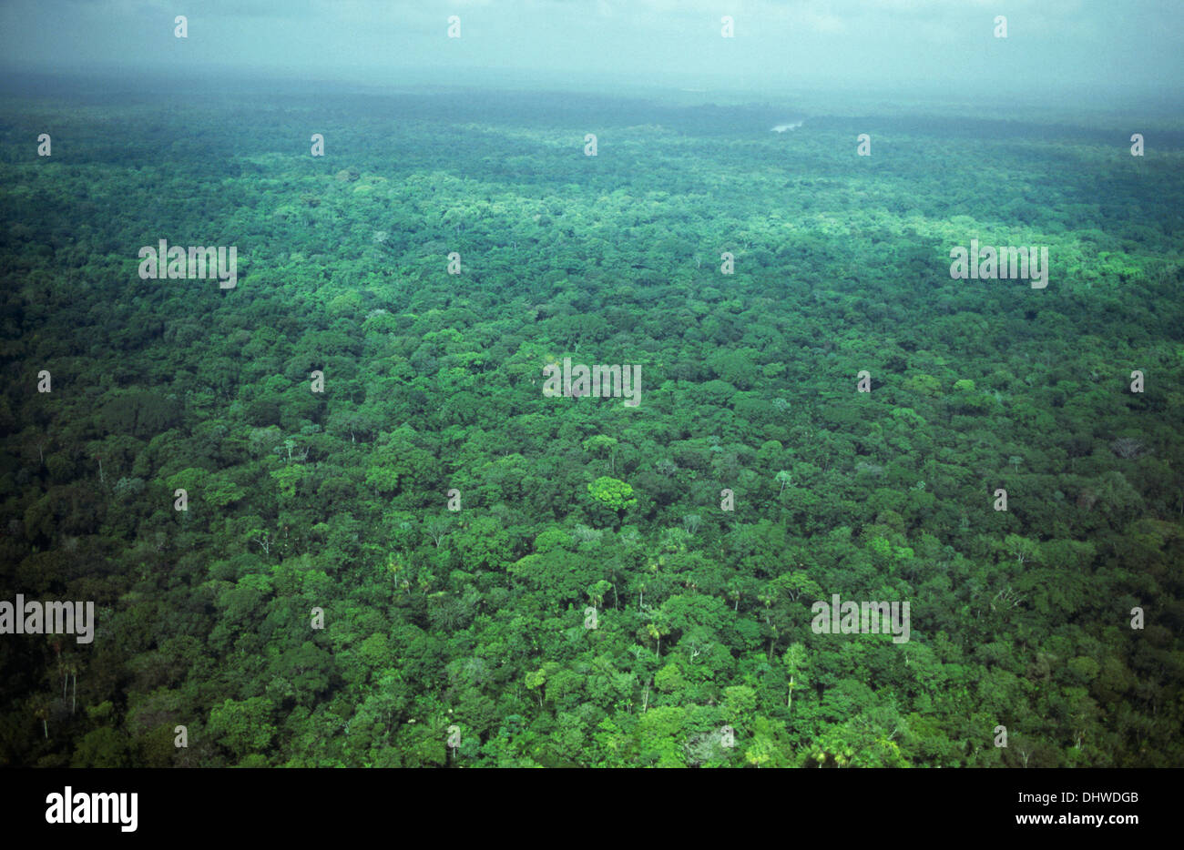 delta of amazonas river and rainforest, belem, state of para, amazon ...