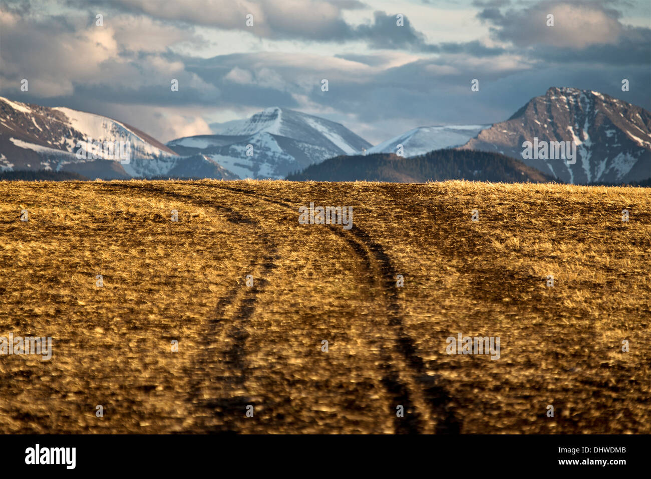 Crop harvest Canada Pincher Creek Rocky Mountains Stock Photo - Alamy