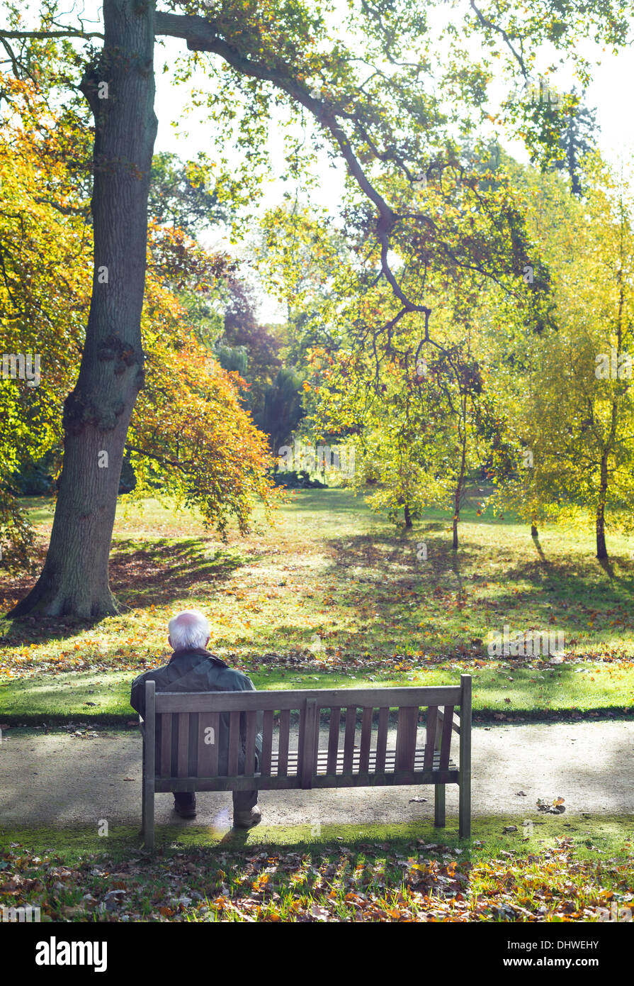 A white haired, bald, retired gentleman sits on a bench looking at an ...