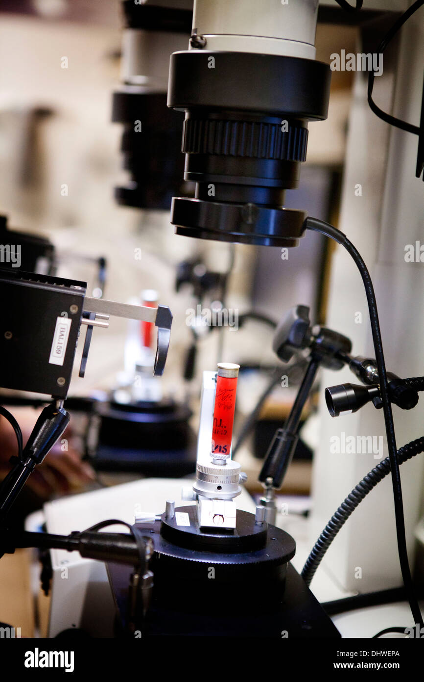 Crime lab hi-res stock photography and images - Alamy