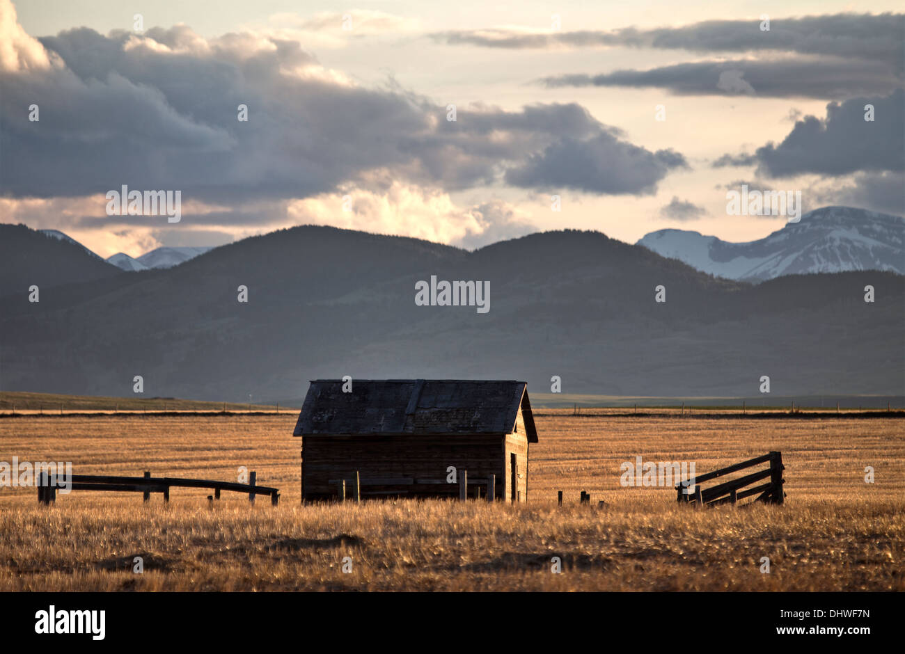 Crop harvest Canada Pincher Creek Rocky Mountains Stock Photo - Alamy