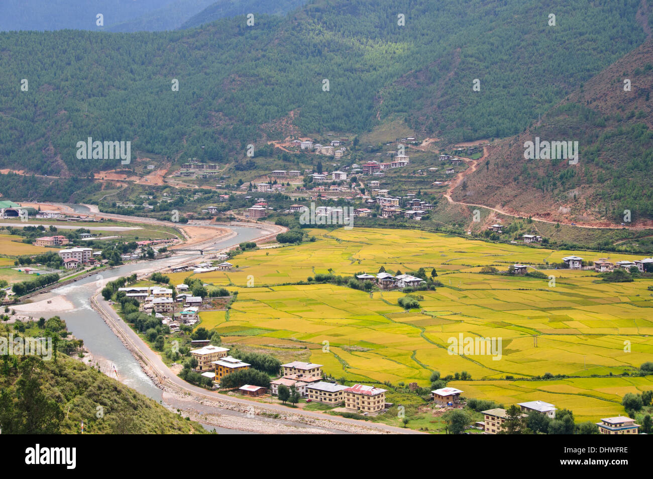 Views from Paro Dzong overlooking the Paro Valley,Rice Paddies,Farming ...