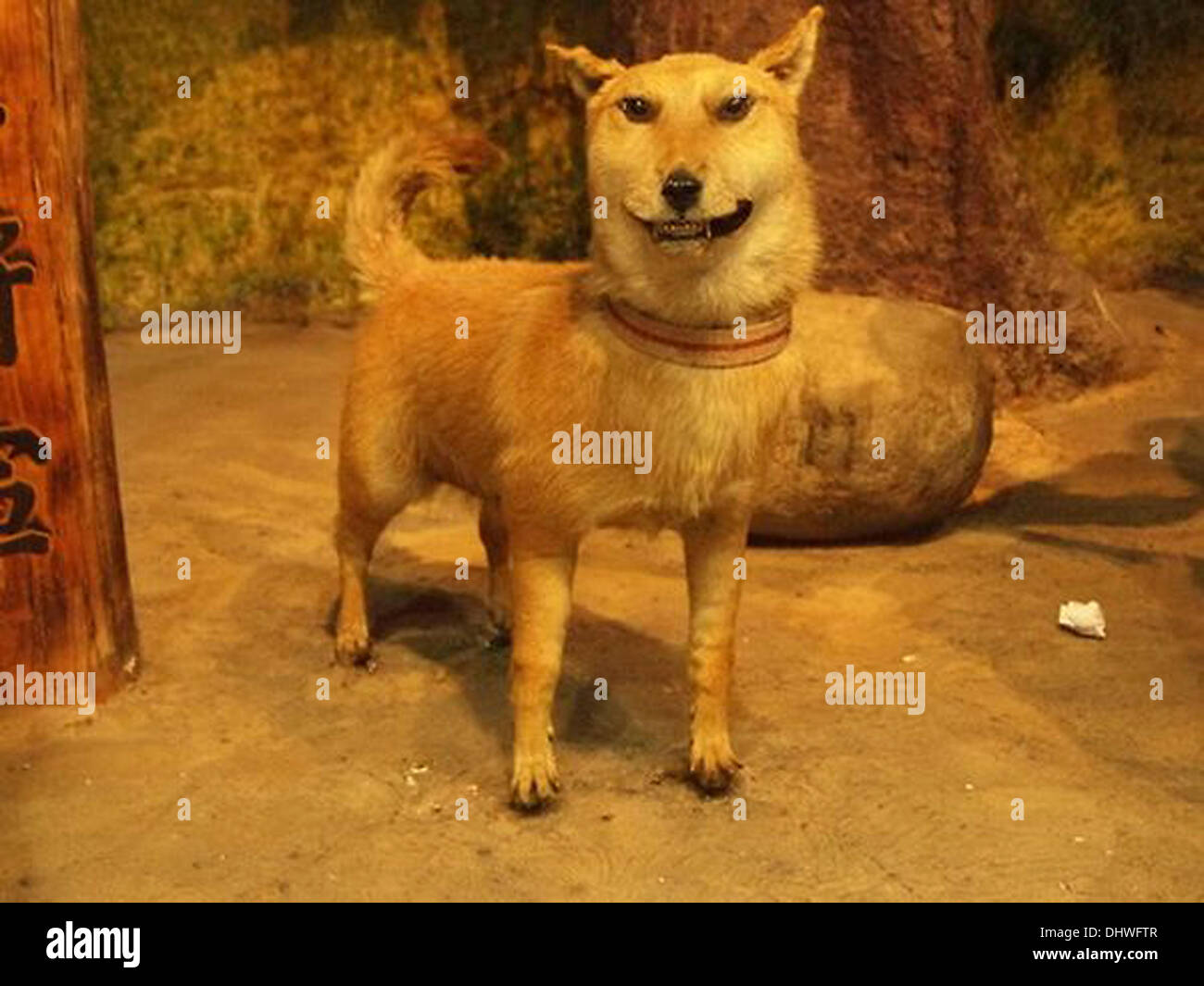 ALL CREATURES GREAT AND CRUEL When taxidermy goes horribly wrong, the ...