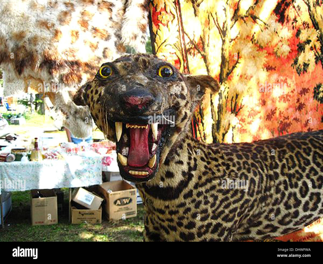 ALL CREATURES GREAT AND CRUEL When taxidermy goes horribly wrong, the ...