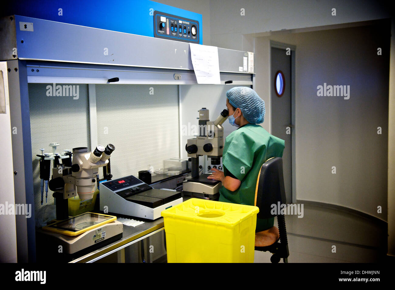 Human ovum light microscope hi-res stock photography and images - Alamy
