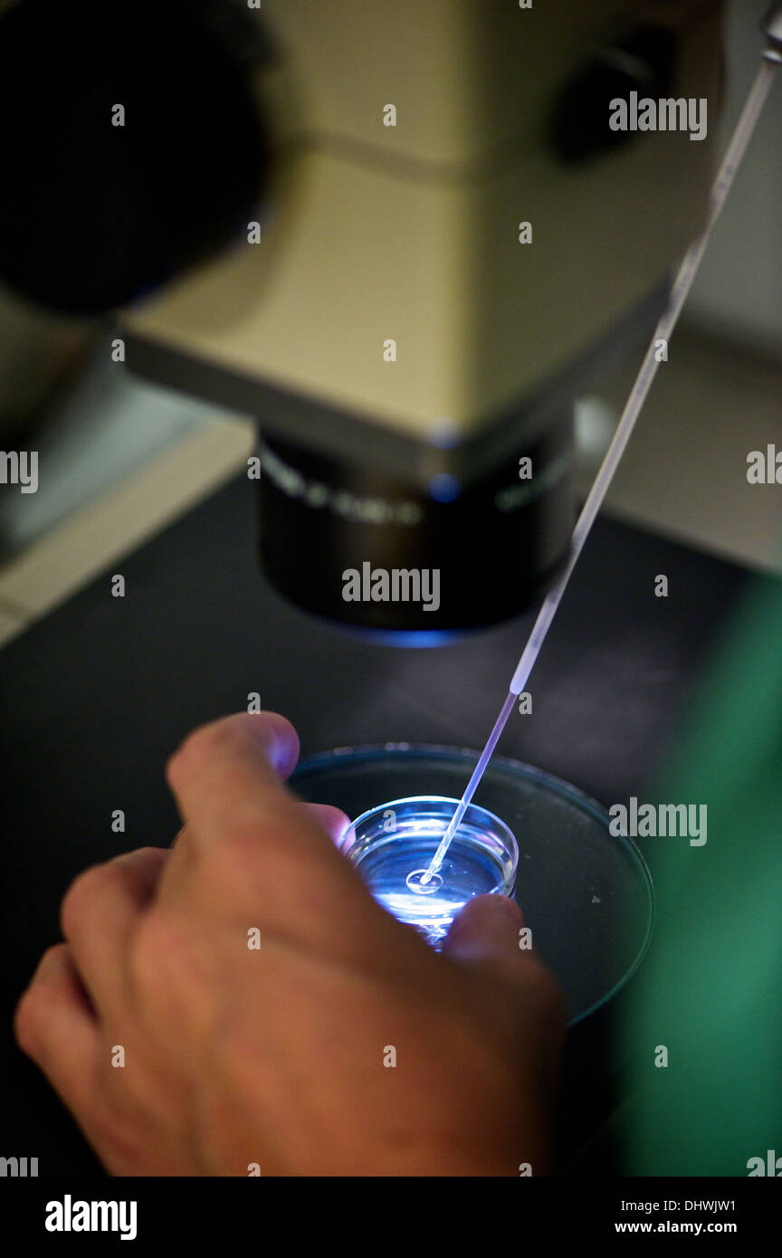 Ivf center hi-res stock photography and images - Alamy