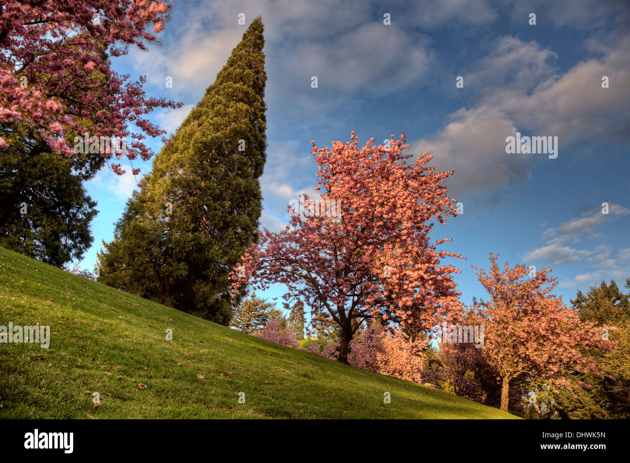 Washington park viewpoint portland hi-res stock photography and images ...