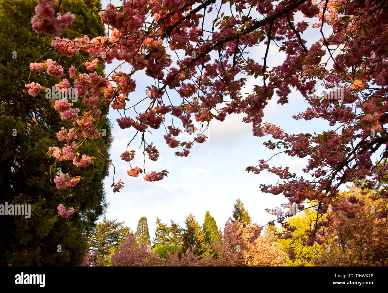 Washington park viewpoint portland hi-res stock photography and images ...