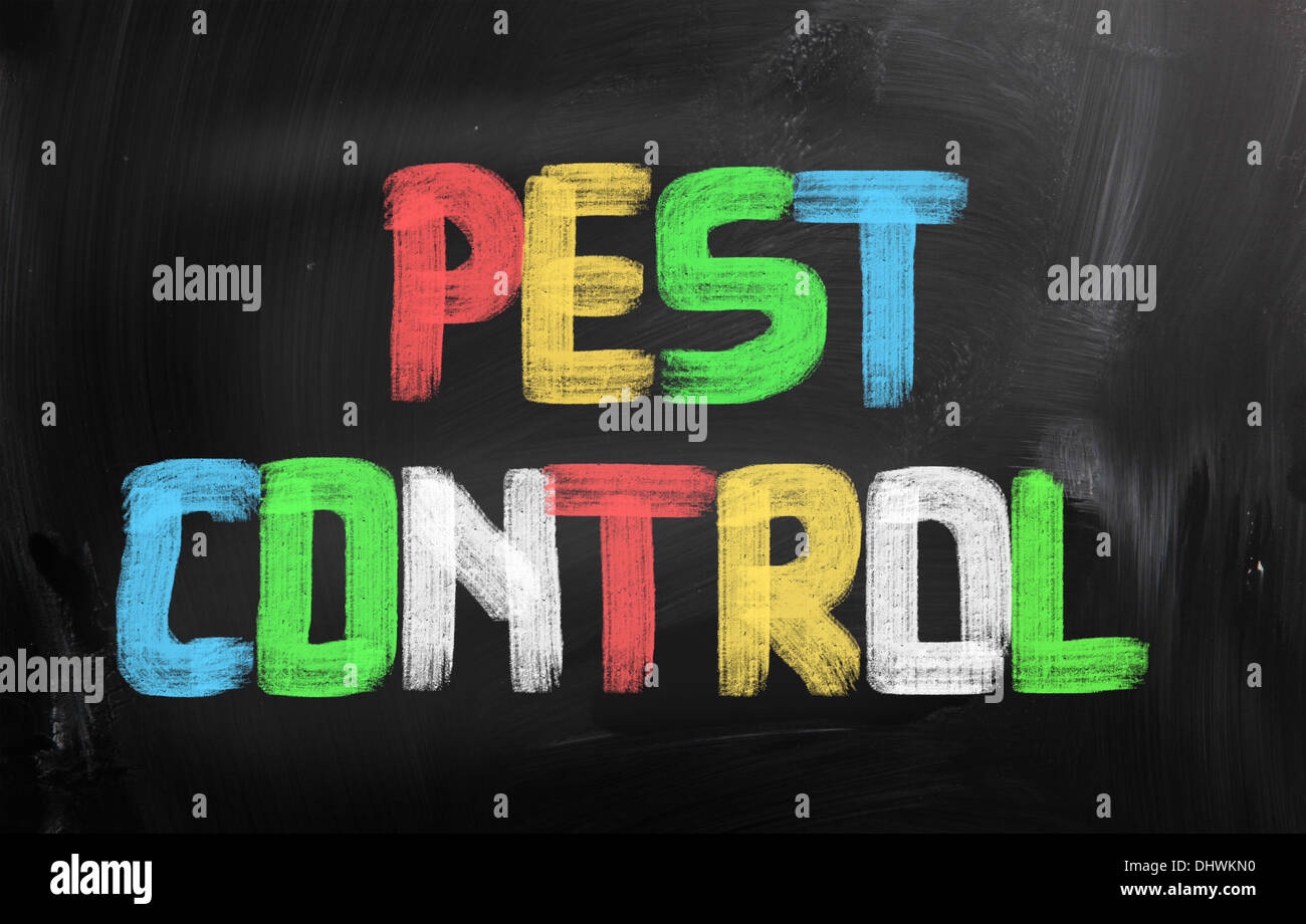 Pest Control Concept Stock Photo - Alamy
