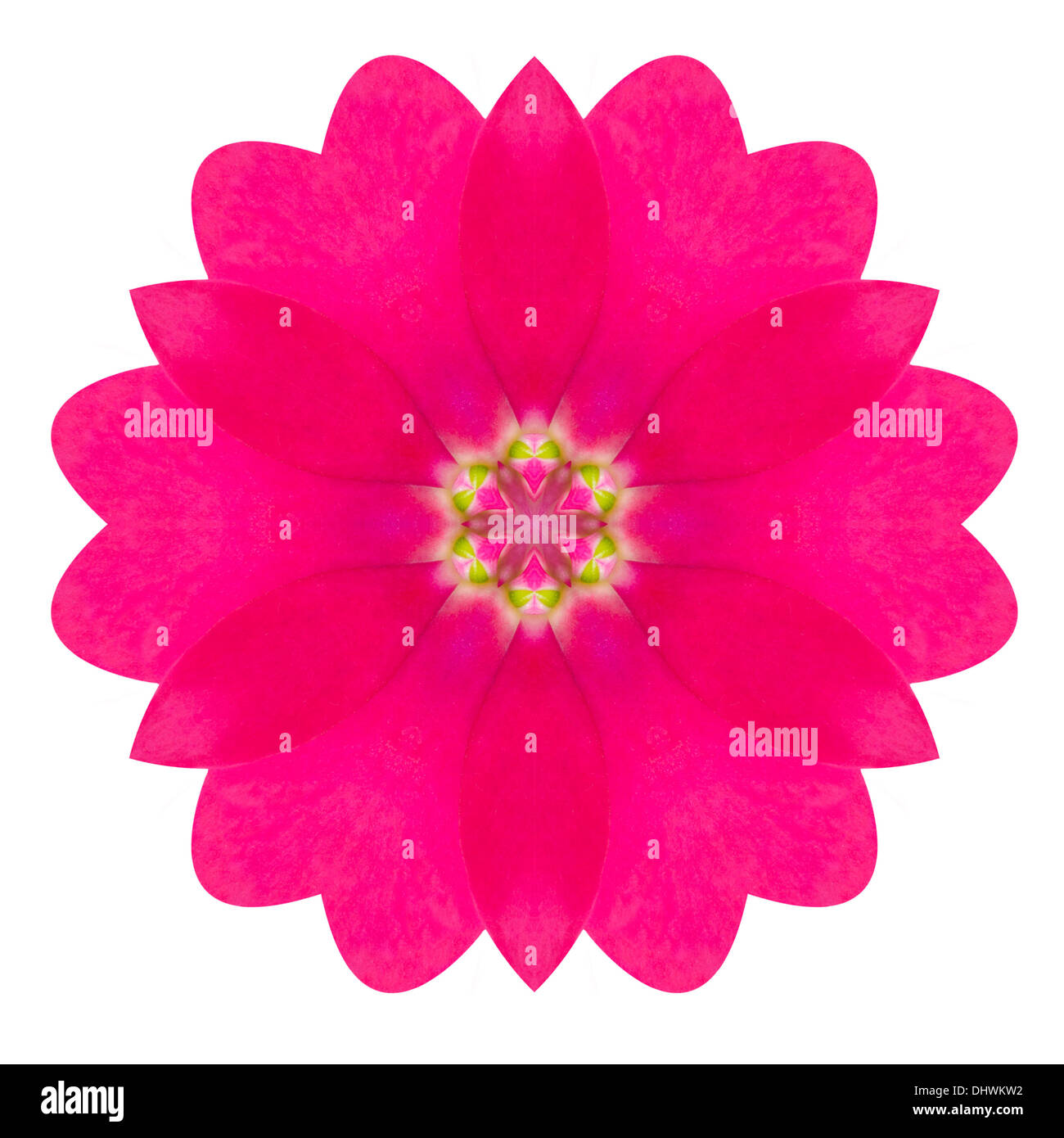 Purple Kaleidoscopic Primrose Flower Mandala with Yellow center ...