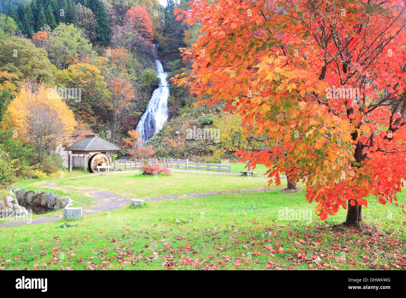 Waterfall in autumn, Name is Nanataki, Akita, Japan Stock Photo - Alamy