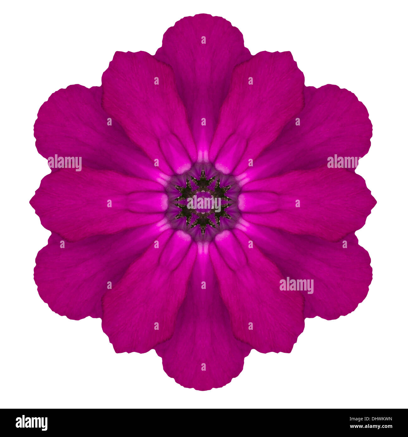 Purple Kaleidoscopic Primrose Flower Mandala with Yellow center ...