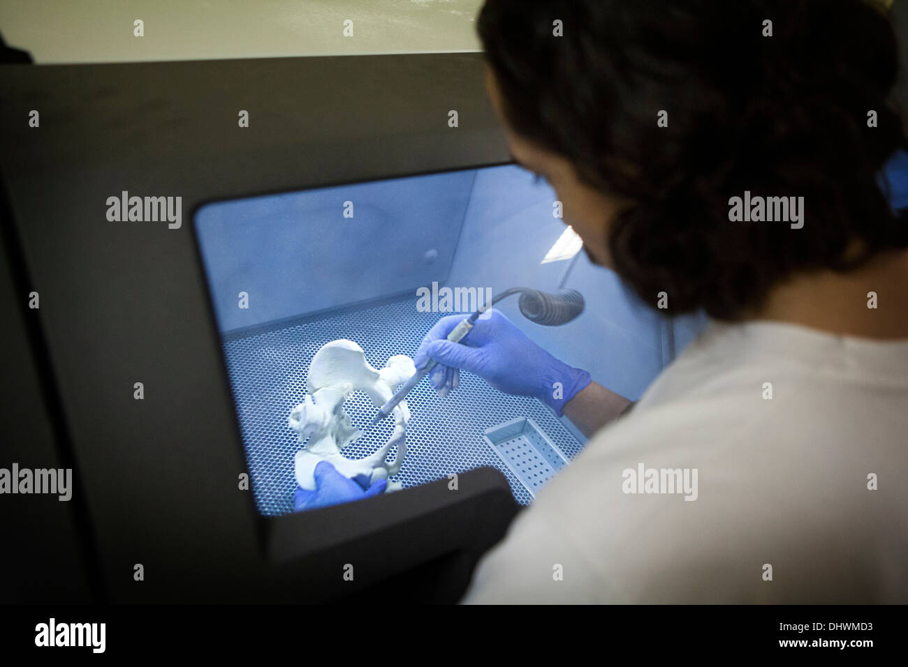 3d printing pelvis model hi-res stock photography and images - Alamy