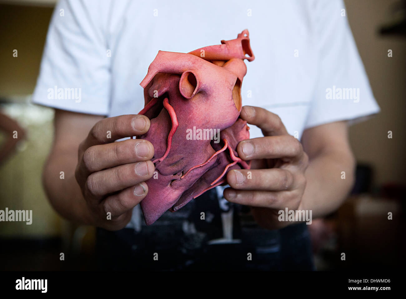 Heart and cardiovascular system 3 d hi-res stock photography and images ...