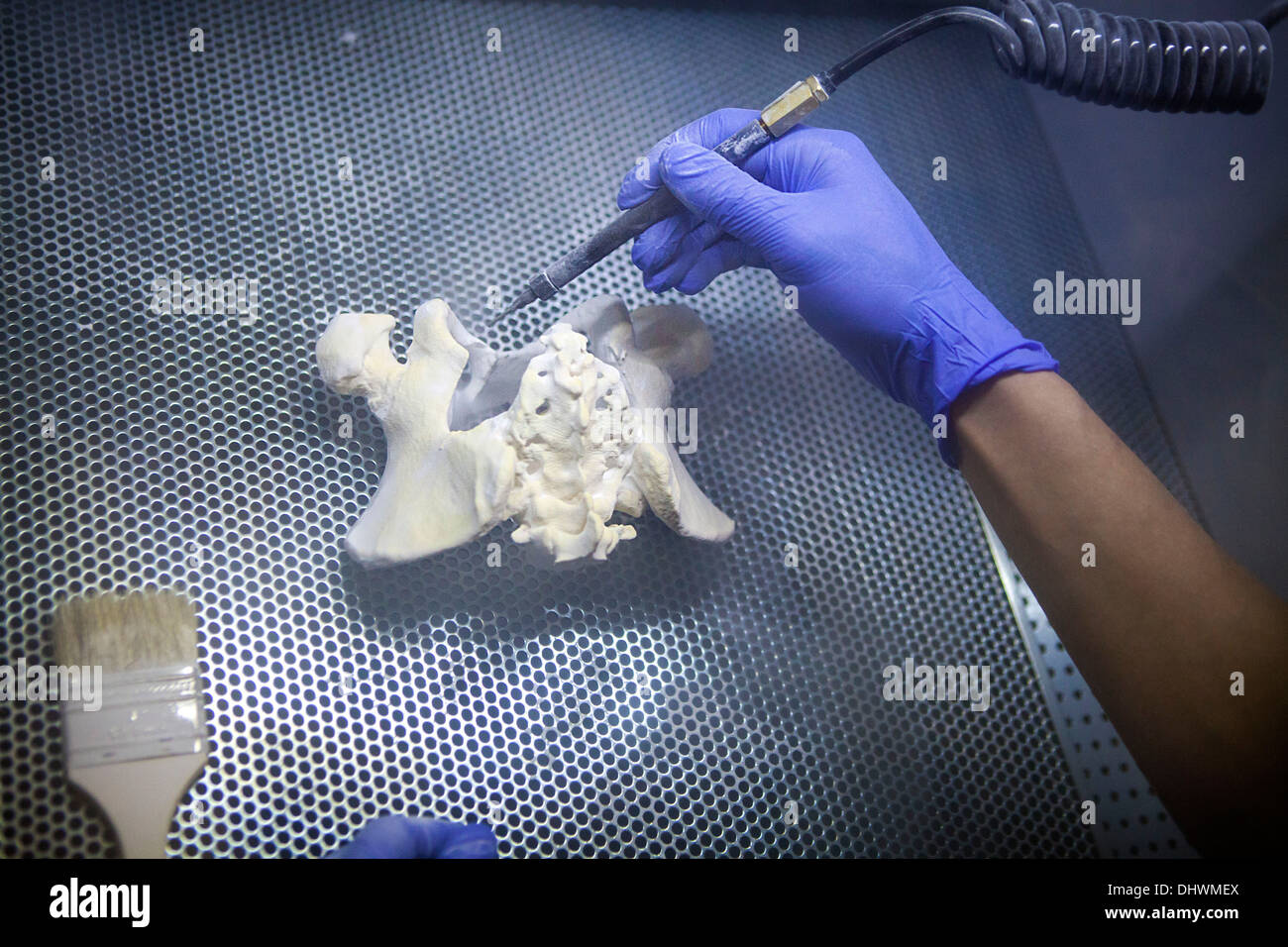 3d printing pelvis model hi-res stock photography and images - Alamy