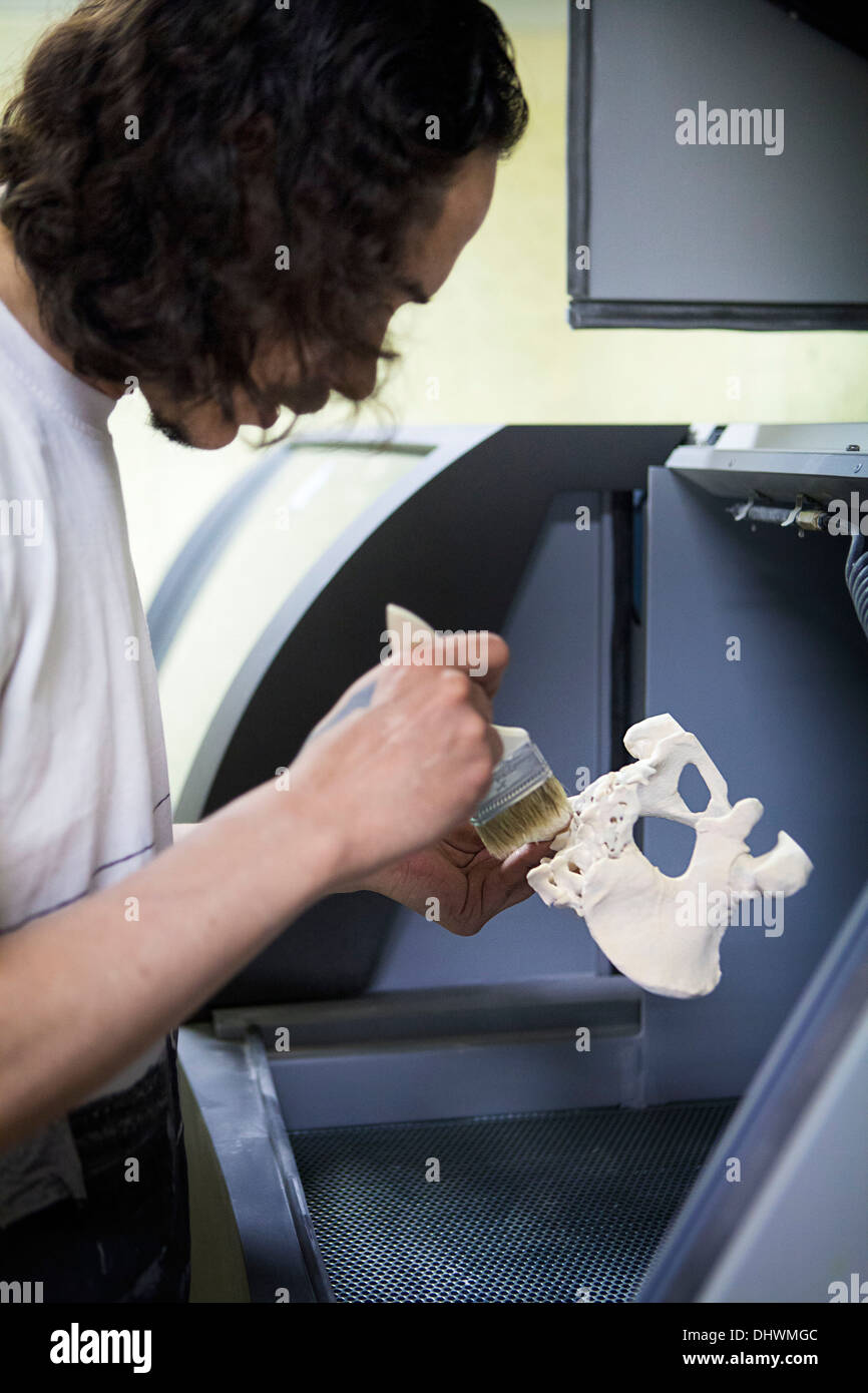 3d printing pelvis model hi-res stock photography and images - Alamy