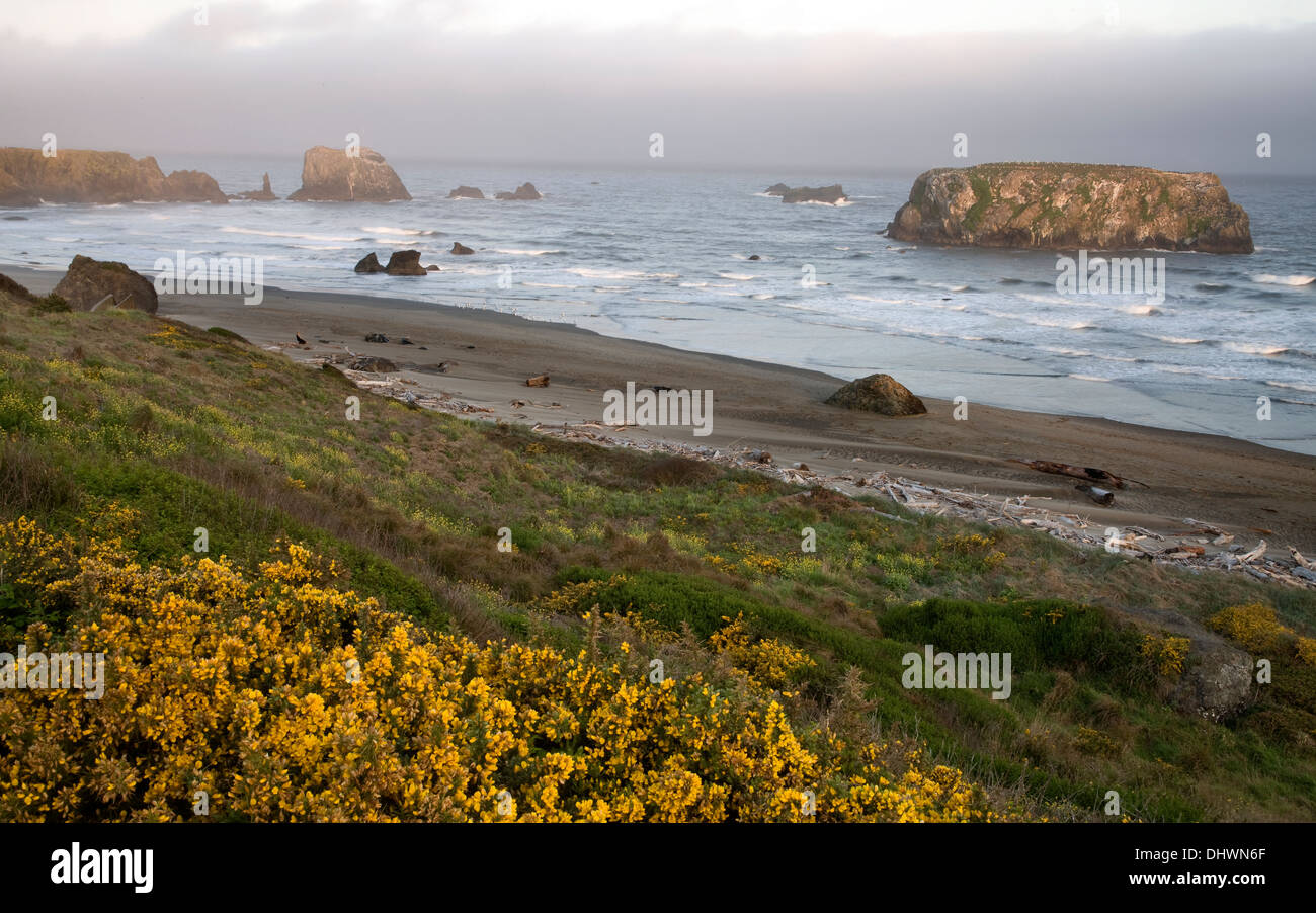 Sunset Bandon Oregon beautiful rock formations USA Stock Photo - Alamy