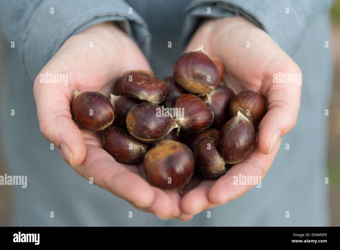 Christmas chestnuts roasting hi-res stock photography and images - Alamy