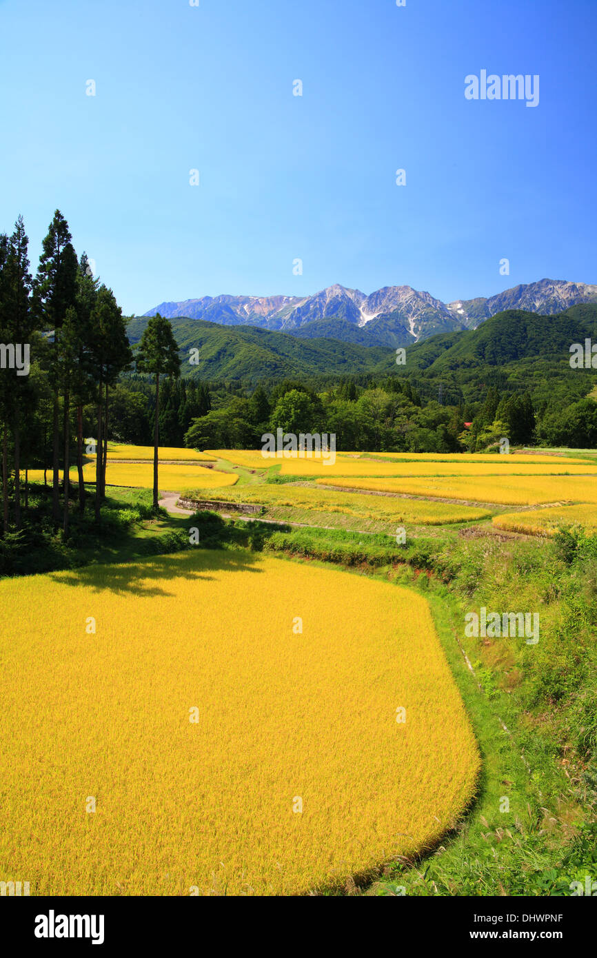 Village agriculture hi-res stock photography and images - Alamy