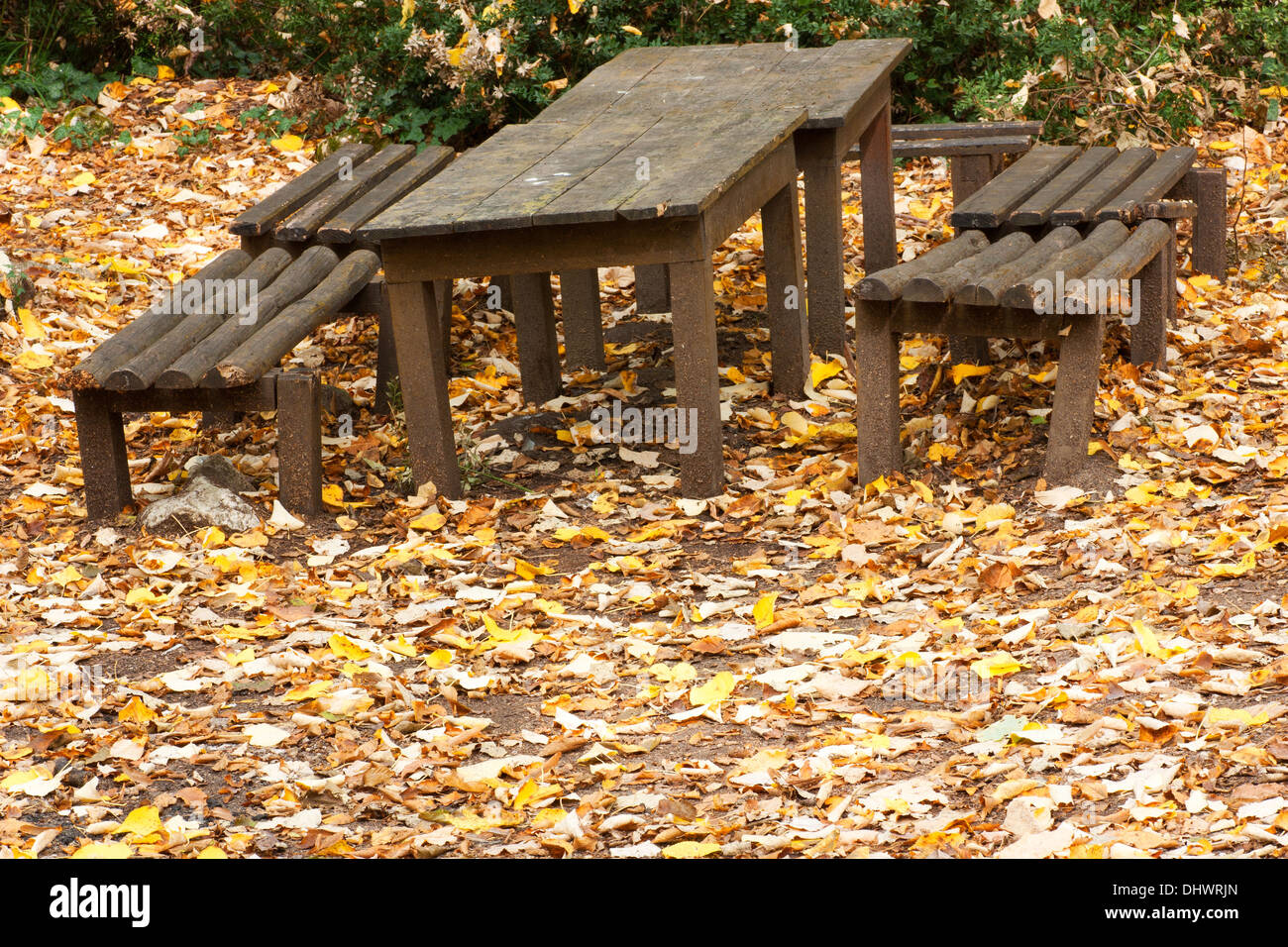 Wooden picnic table and bench in a forest at fall Stock Photo - Alamy