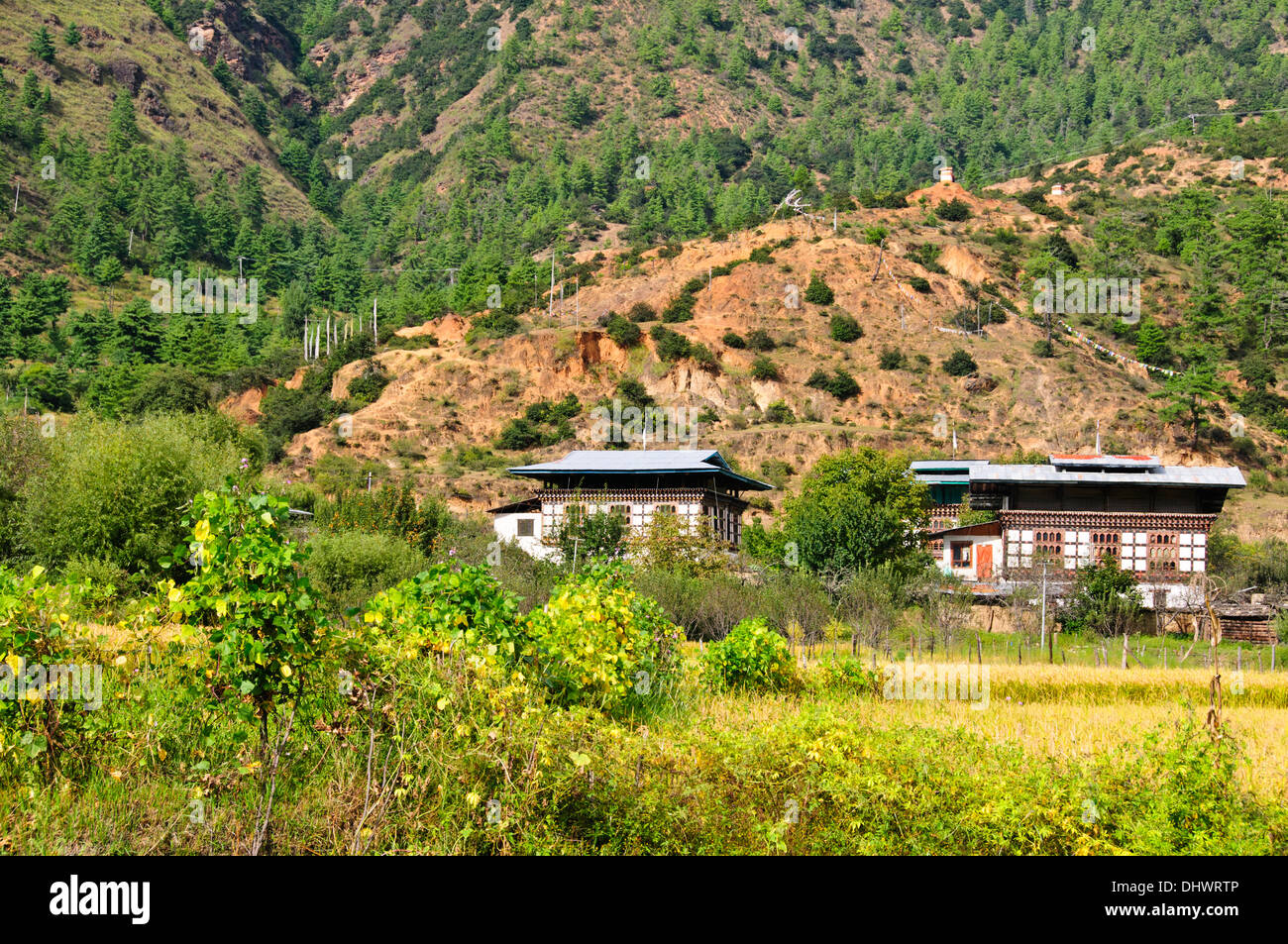 Dungtse lhakhang in paro bhutan hi-res stock photography and images - Alamy