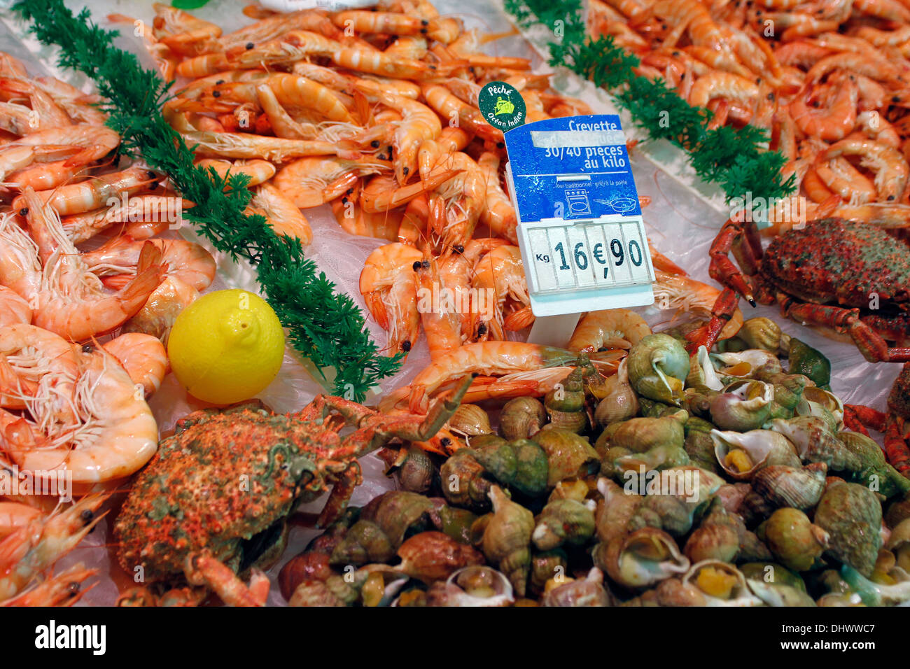 The shrimp shop hi-res stock photography and images - Alamy