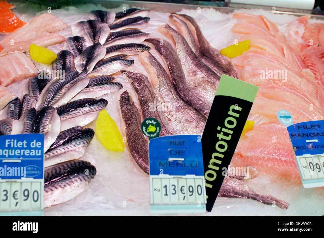 Fish store offers fish hi-res stock photography and images - Alamy