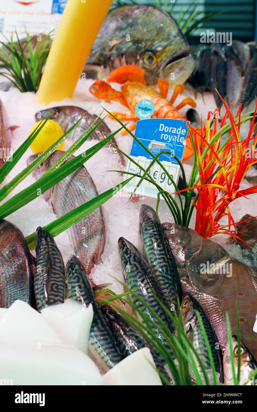 Trading fish hi-res stock photography and images - Alamy