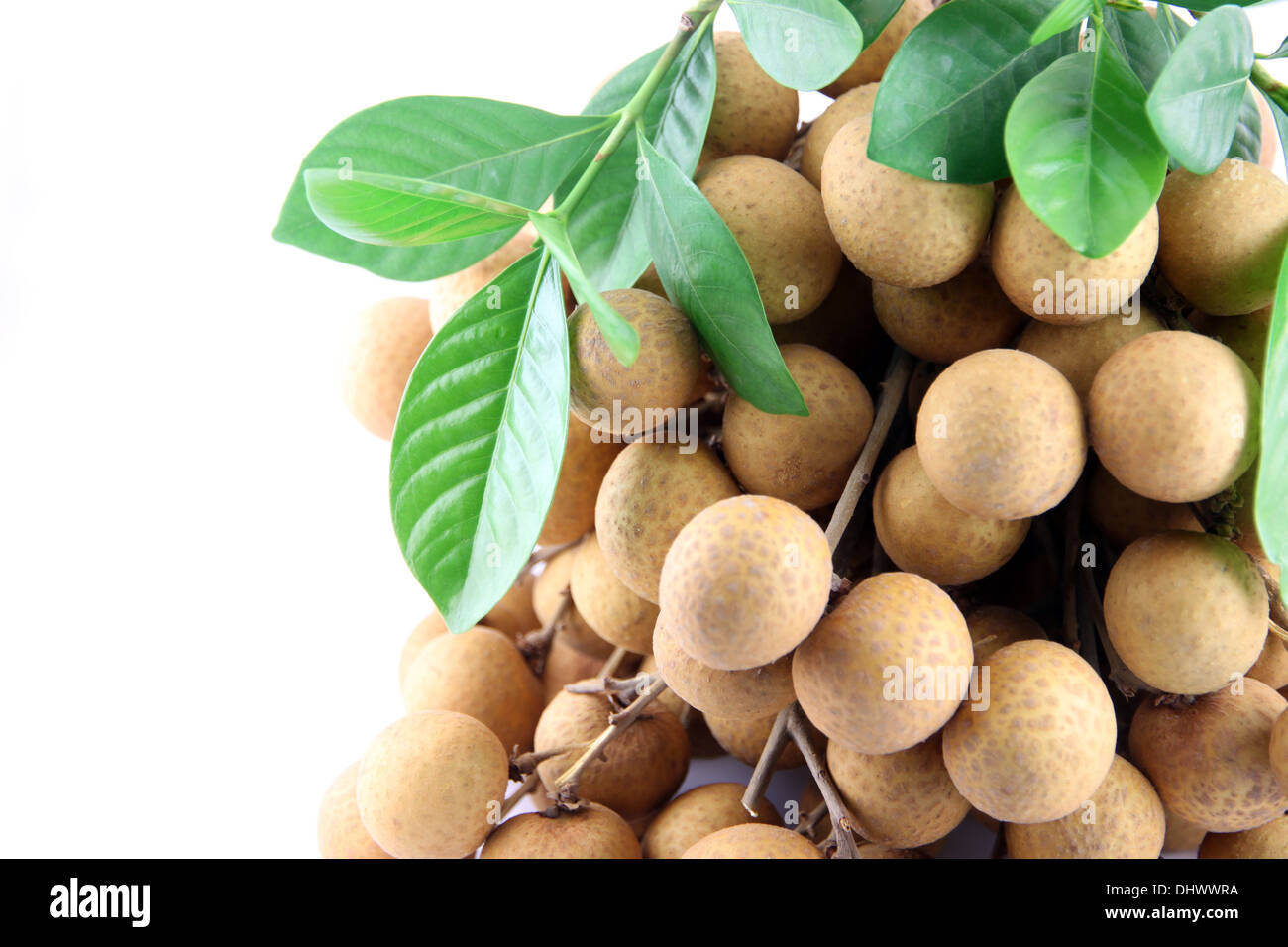 Close up longan of fruit on a white background Stock Photo - Alamy